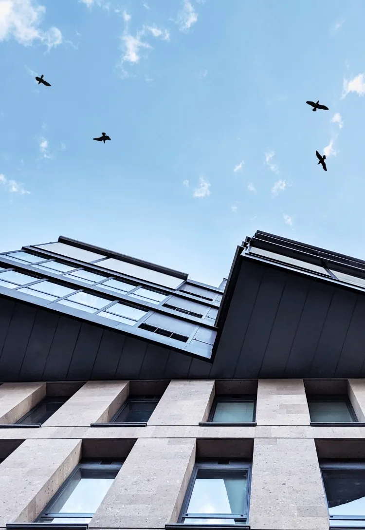 Enterprise Software Development Company | DigitalSuits